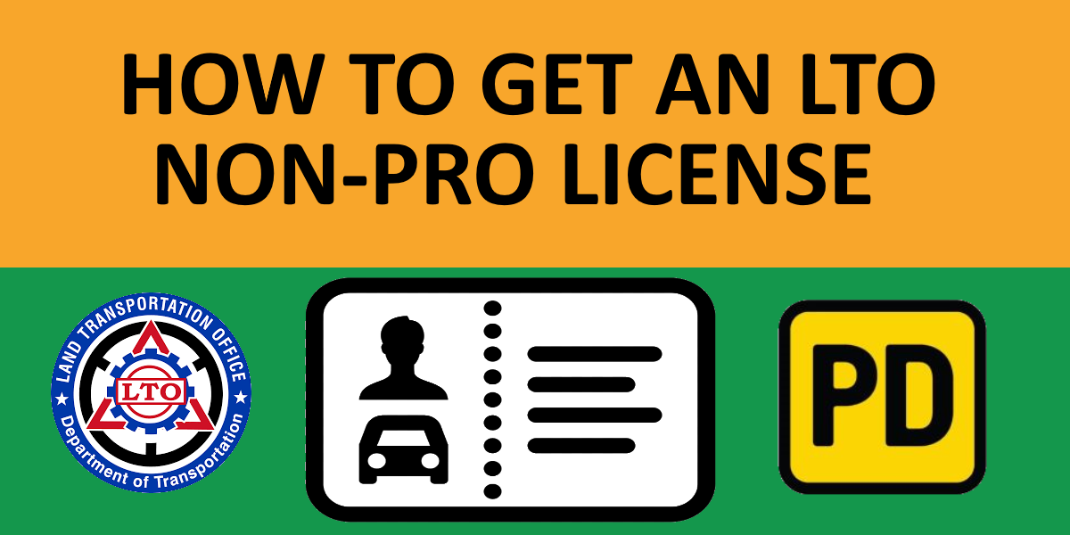 LTO Non-Professional Driver's License Requirements 2025